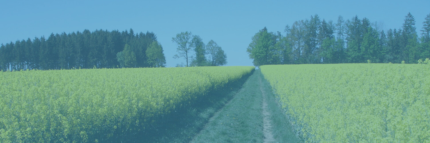 Arable Land Insurance | Ashburnham Insurance