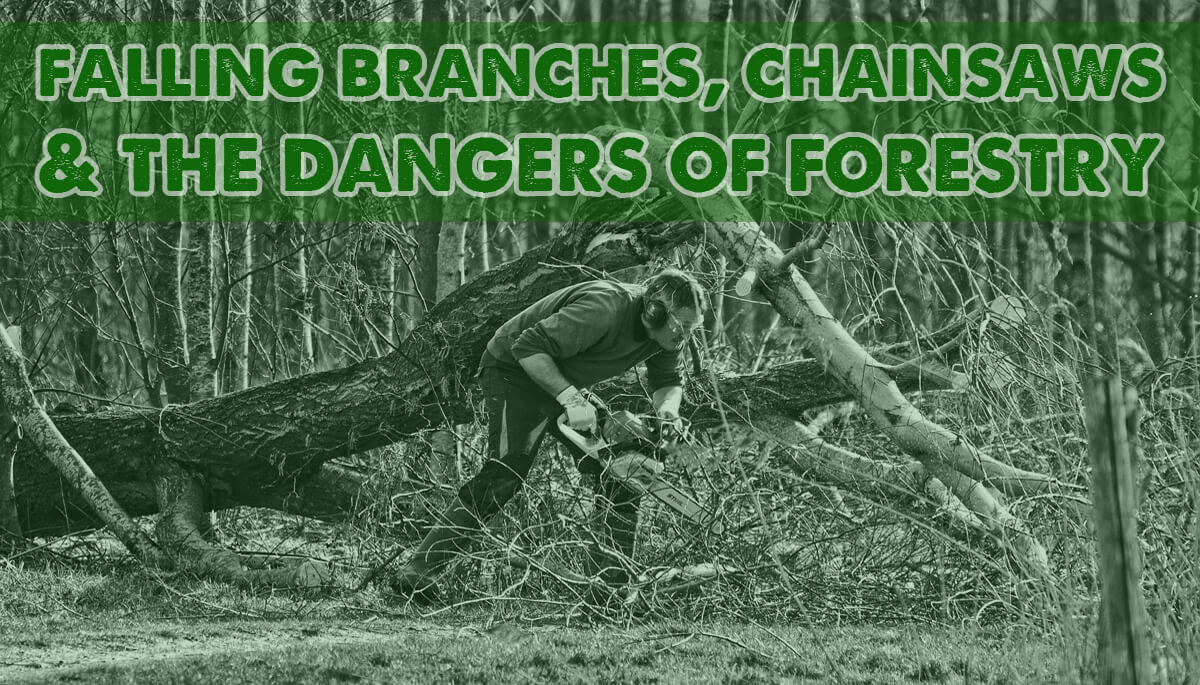 The Dangers of Forestry | Ashburnham Insurance Blog