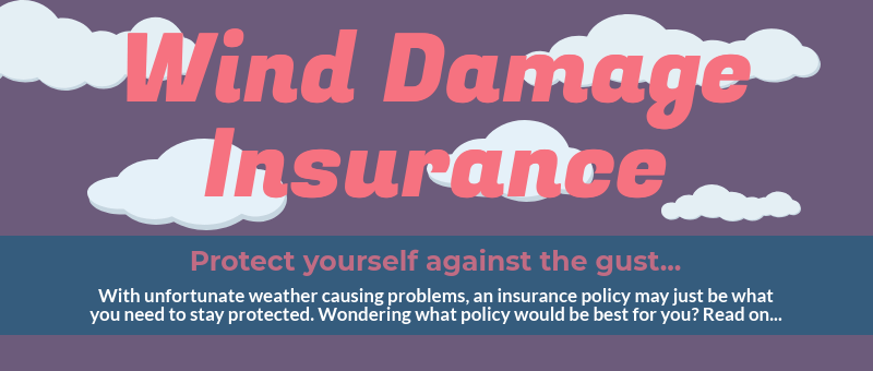 Wind Damage Insurance (Infographic)